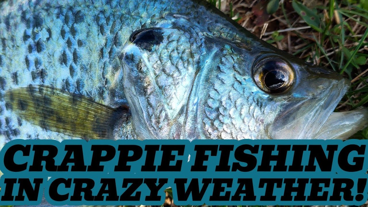 Using a SIMPLE method in EXTREME weather for CRAPPIE! - YouTube