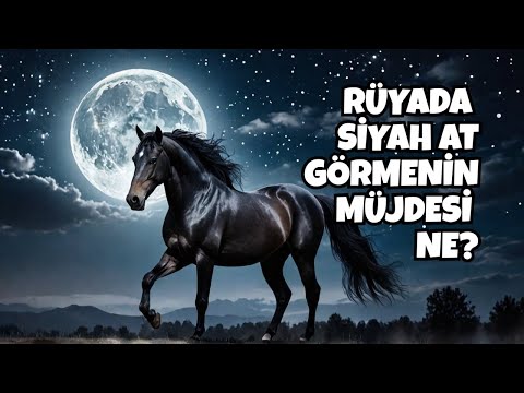 Rüyada Siyah At Görmek Ne Anlama Geliyor ? -Leyla Bayram İstihare Ve Rüya Yorumcusu