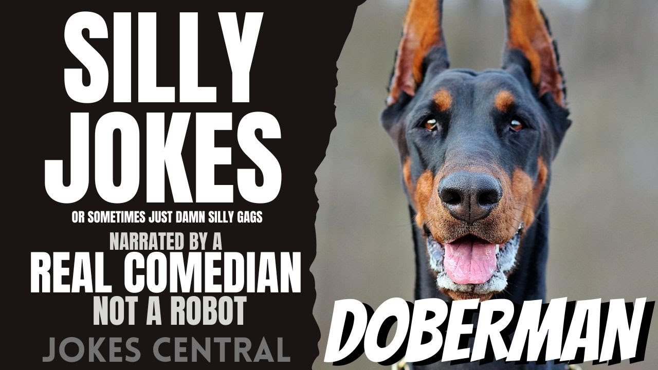 Funny Jokes : DOBERMAN - What else can I say...Enjoy - YouTube
