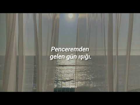 Plain White T's - Sunlight (Türkçe Çeviri)
