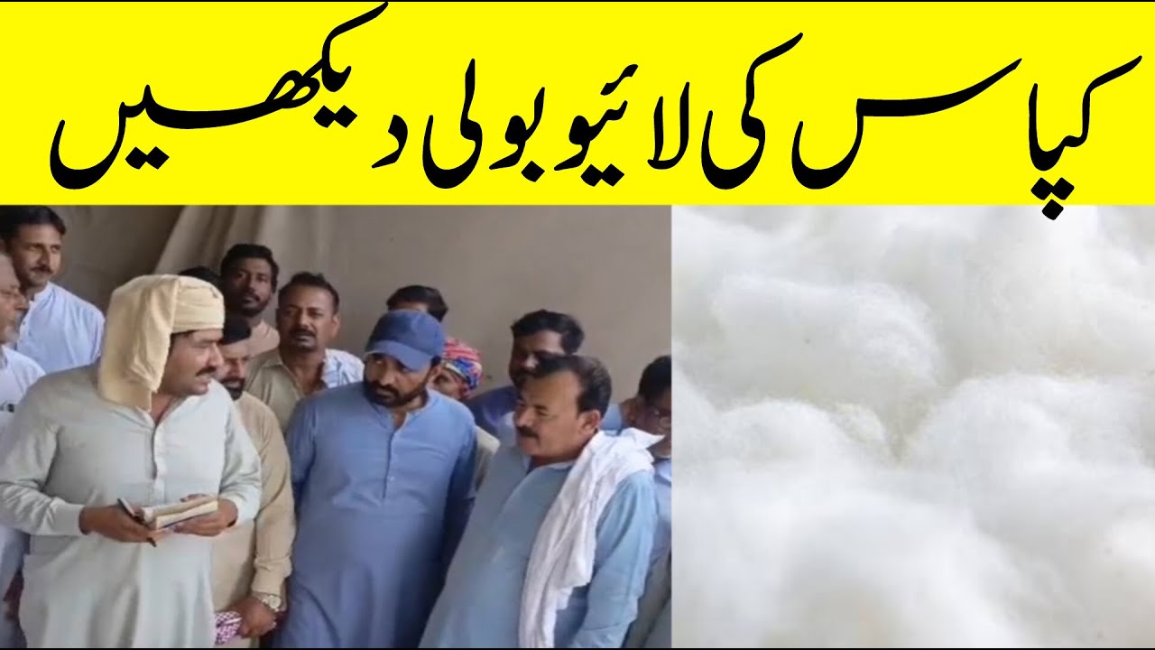 Cotton price today in Pakistan | kapas rate today in Pakistan | kapas ...