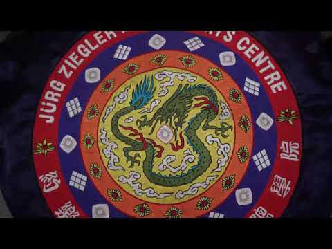 Southern Shaolin Lohan Kung Fu (Sek Koh Sum Style) as taught by Sifu Juerg Ziegler - www.kungfu.ch