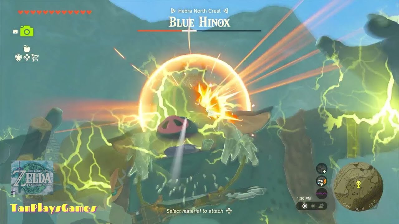 All Blue-Hinox on Surface Location : Zelda Tears of The Kingdom. - YouTube