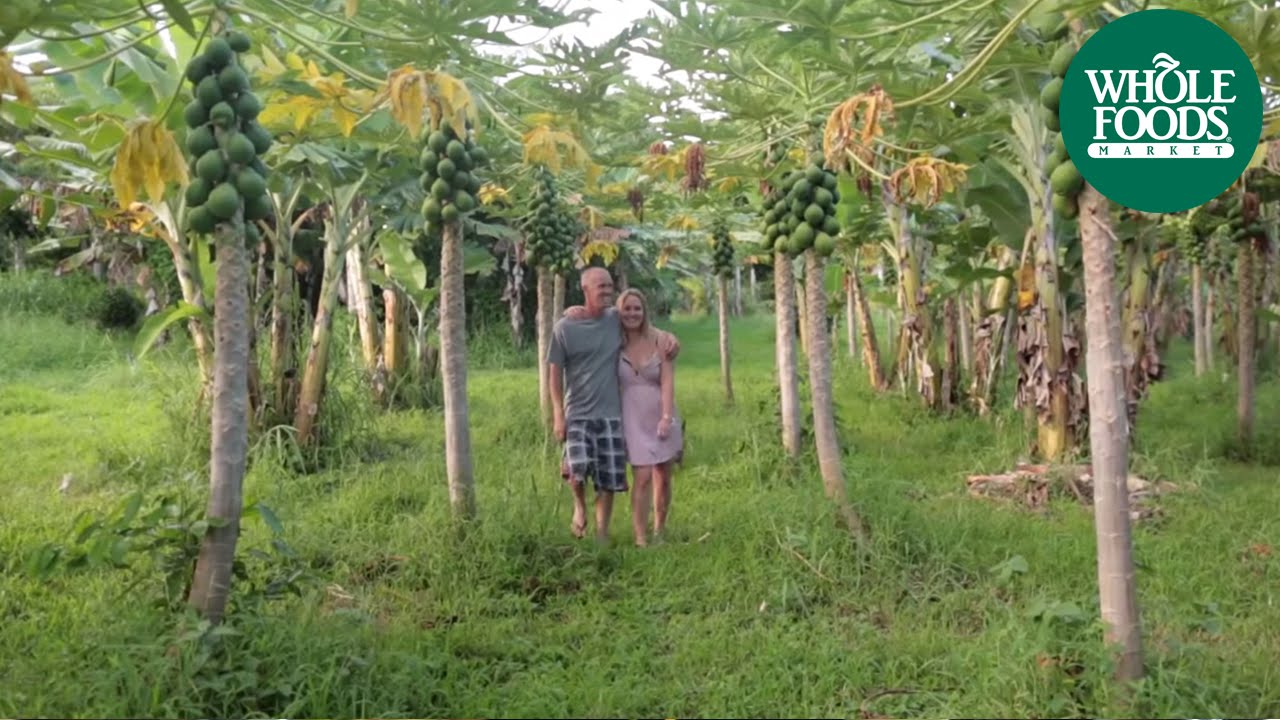 Ono Family Farm l Love Local l Whole Foods Market - YouTube