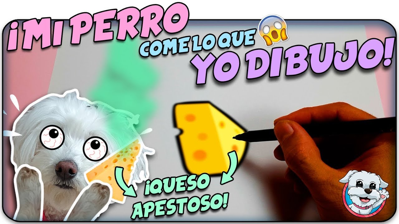 Mi PERRO COME lo que sea que YO DIBUJE! ️ Como Queso apestoso!🧀🐶 Anima ...
