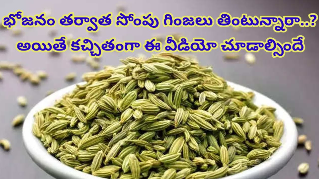 భోజనం తర్వాత సోంపు గింజలు తింటున్నారా..? అయితే కచ్చితంగా ఈ వీడియో ...