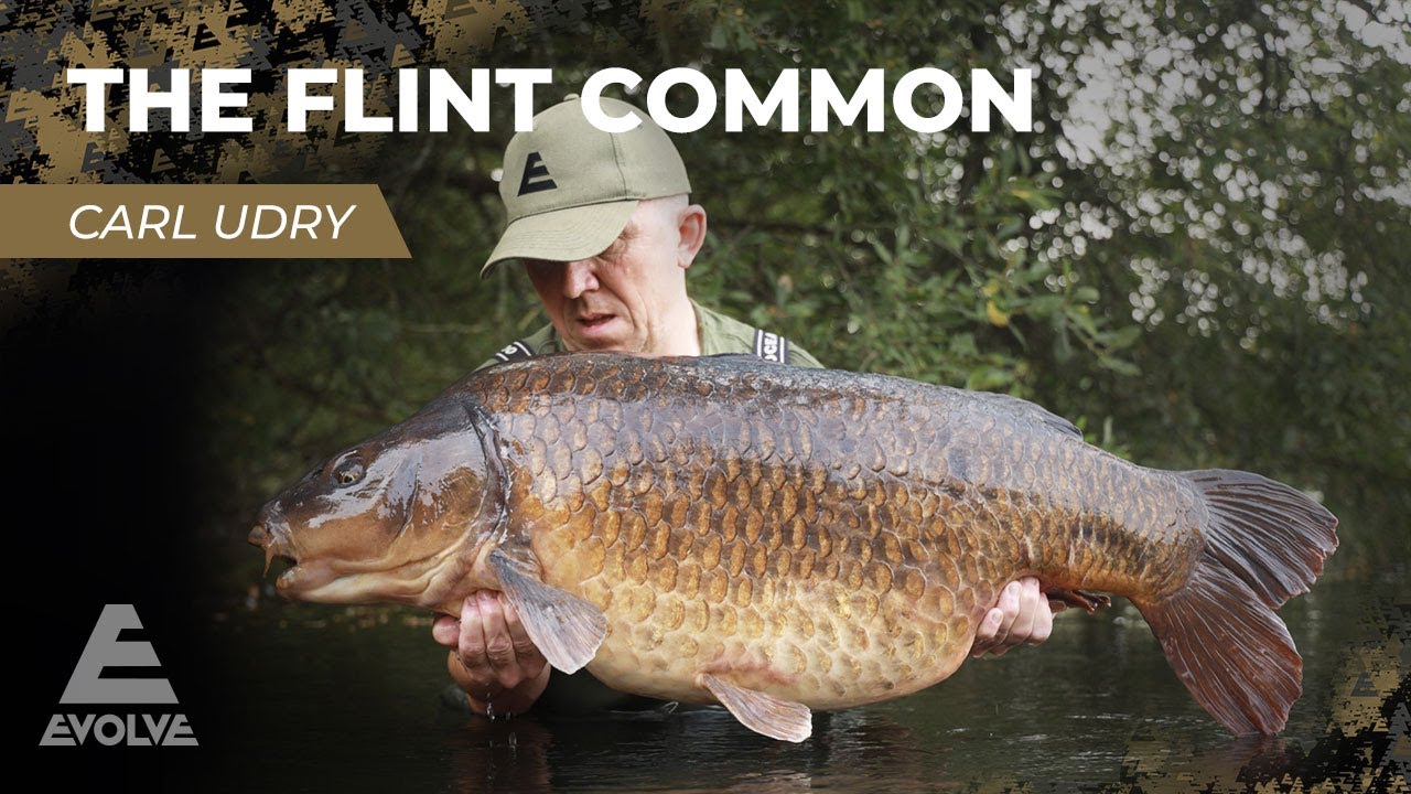 The Flint Common - Follow Carl Udry's big carp quest on RDAA Farnham ...