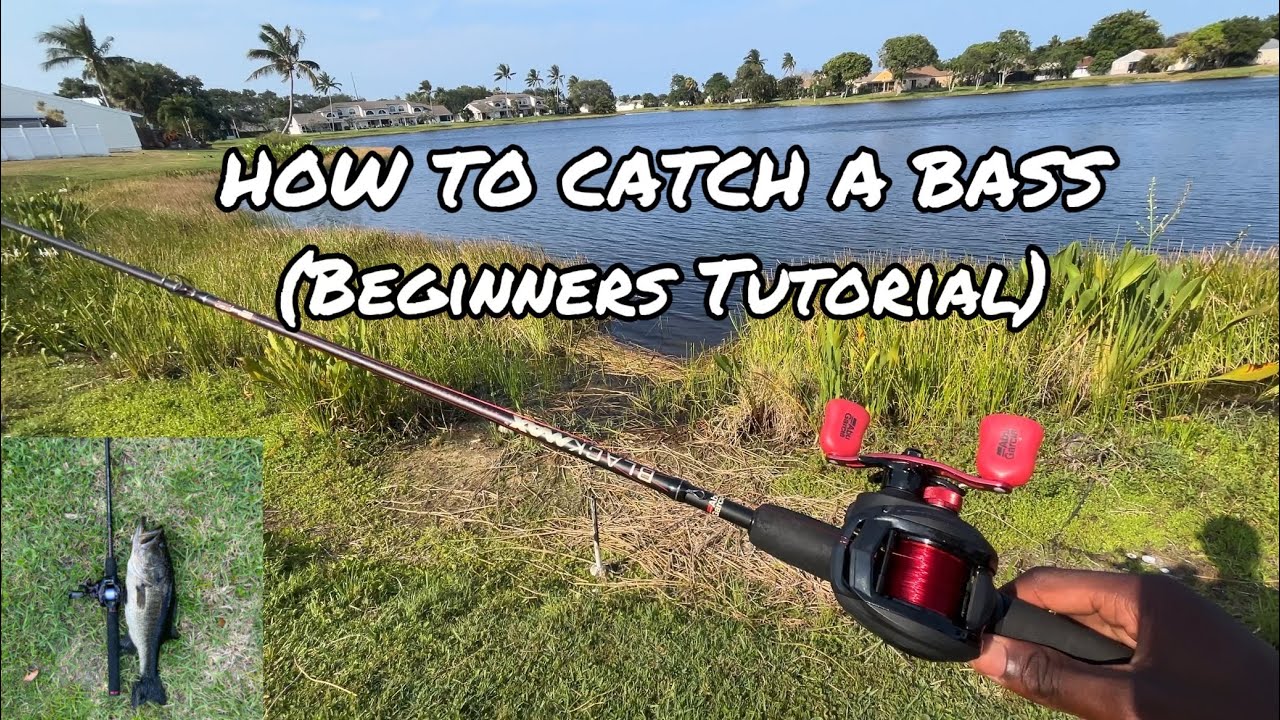 Easy steps on how to catch a bass!! (Beginner Friendly) - YouTube
