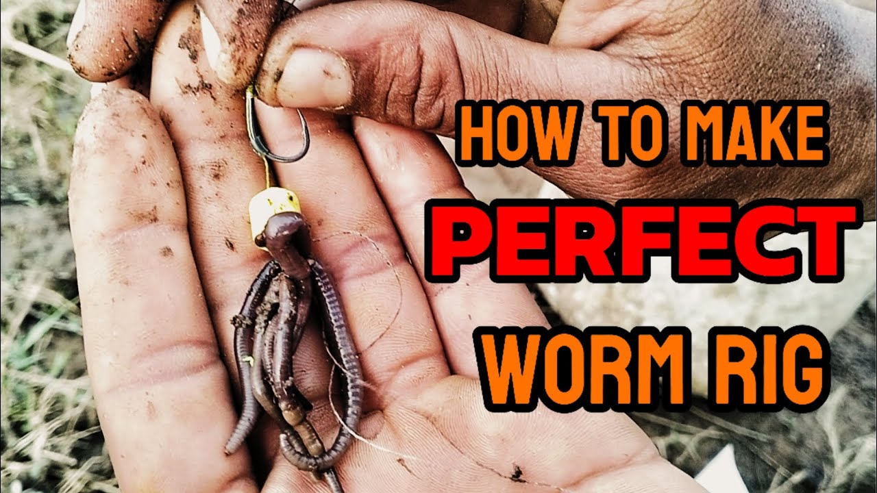 TIPS on how to perfect a WORM RIG (tutorial) - YouTube