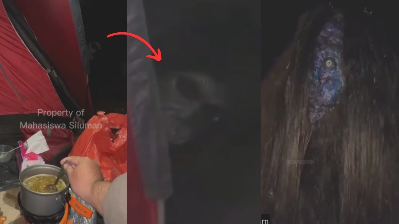 A GHOST FIGURE WITH A ROTTEN FACE PEEKS, A REAL GHOST CAUGHT ON THE ...