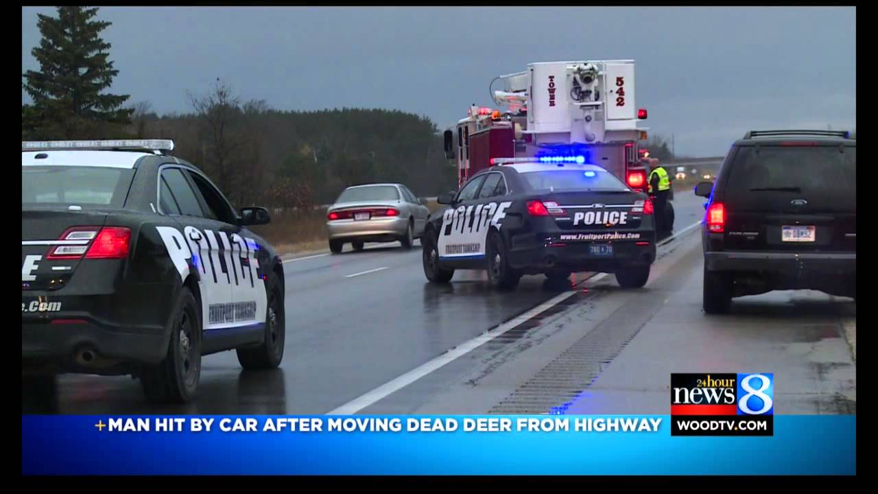 Man hit by car on I-96 while moving dead deer - YouTube