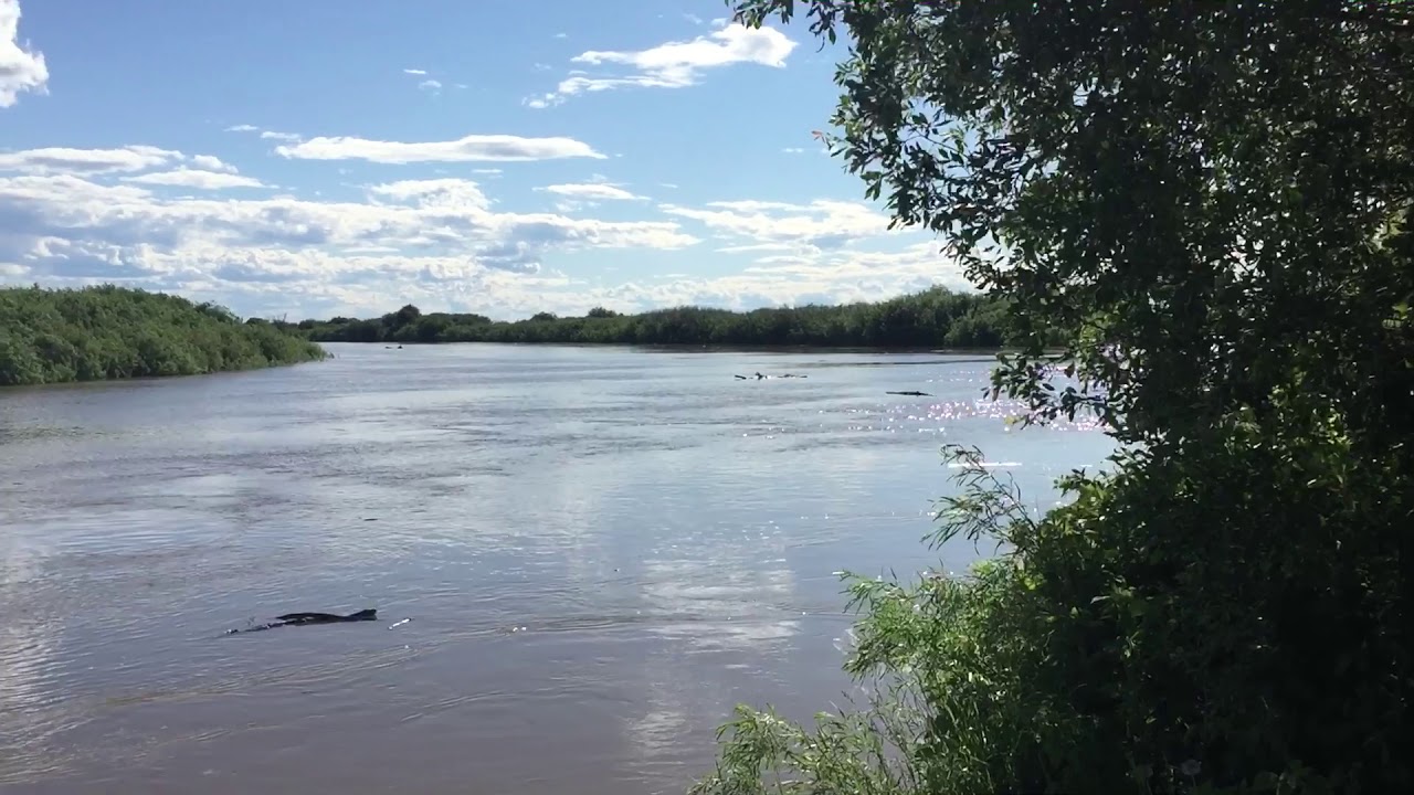 Just a video of the river habay - YouTube