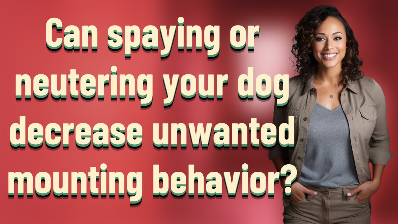 Can spaying or neutering your dog decrease unwanted mounting behavior ...