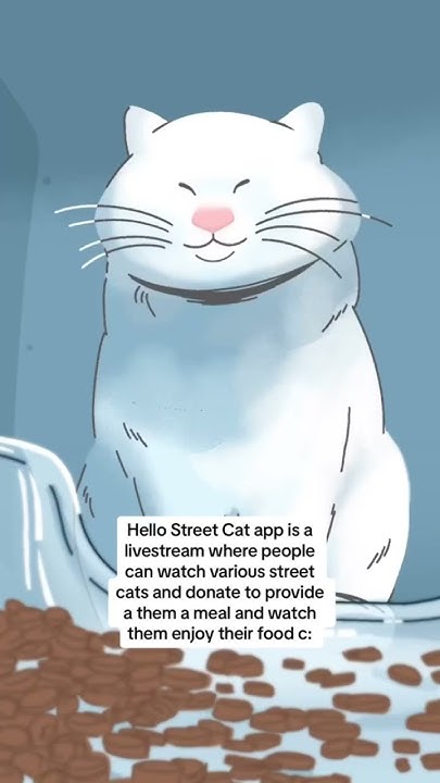 Hello Street Cat App Brother Calm: He is Meditating #streetcats #straycat #drawing #whitecat ...