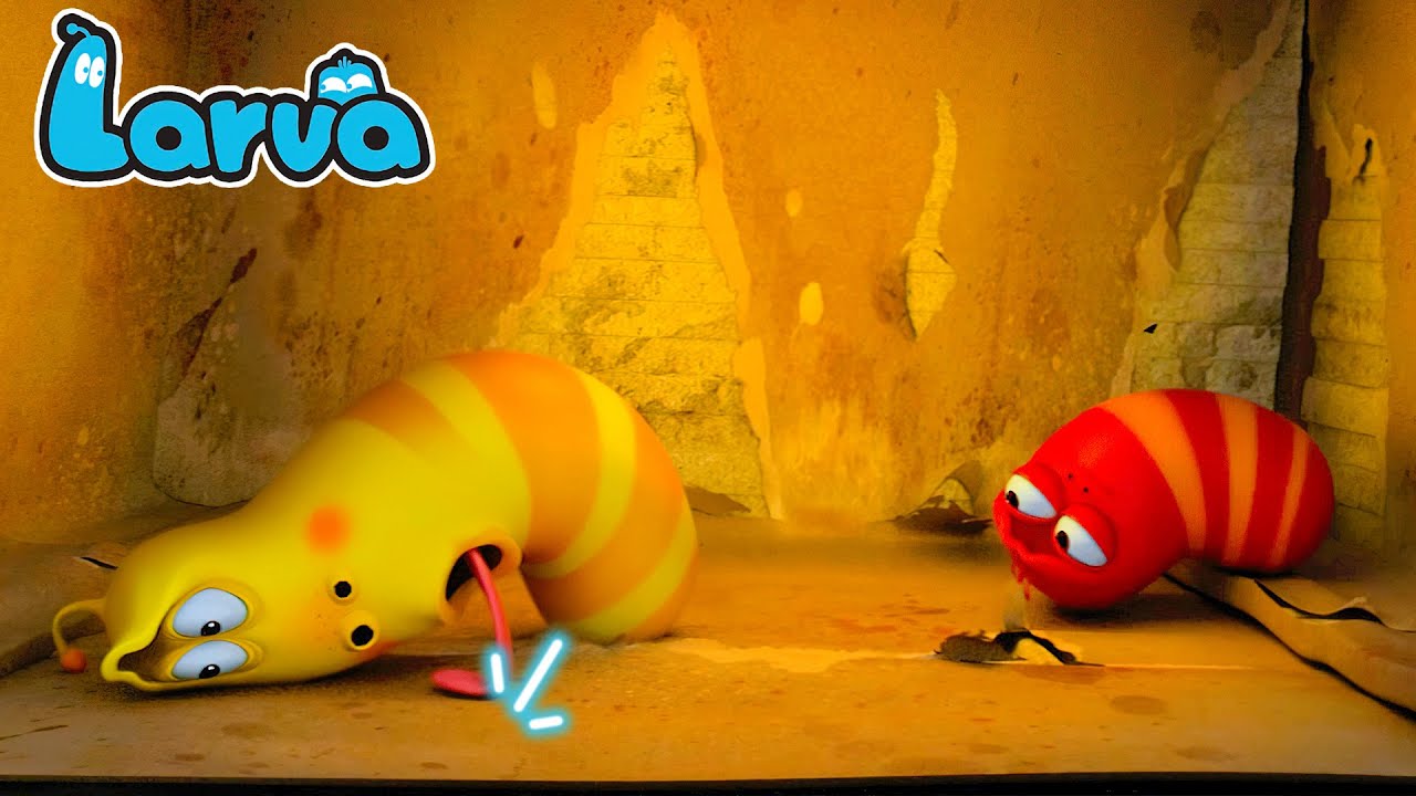 LARVA ! STRANGE NOISE UNDER THE BOX🌈🌟 CARTOON FOR LIFE 🌈🌟 CARTOONS ...