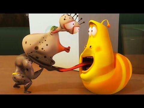 LARVA - FITNESS CLASS | Cartoon Movie | Cartoons | Comics | Larva Cartoon | LARVA Official