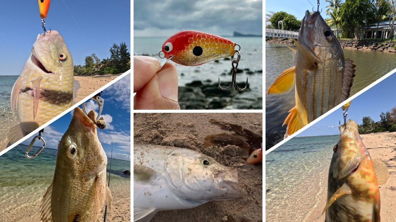A homemade lure that ACTUALLY works on different species.. Fishing ...