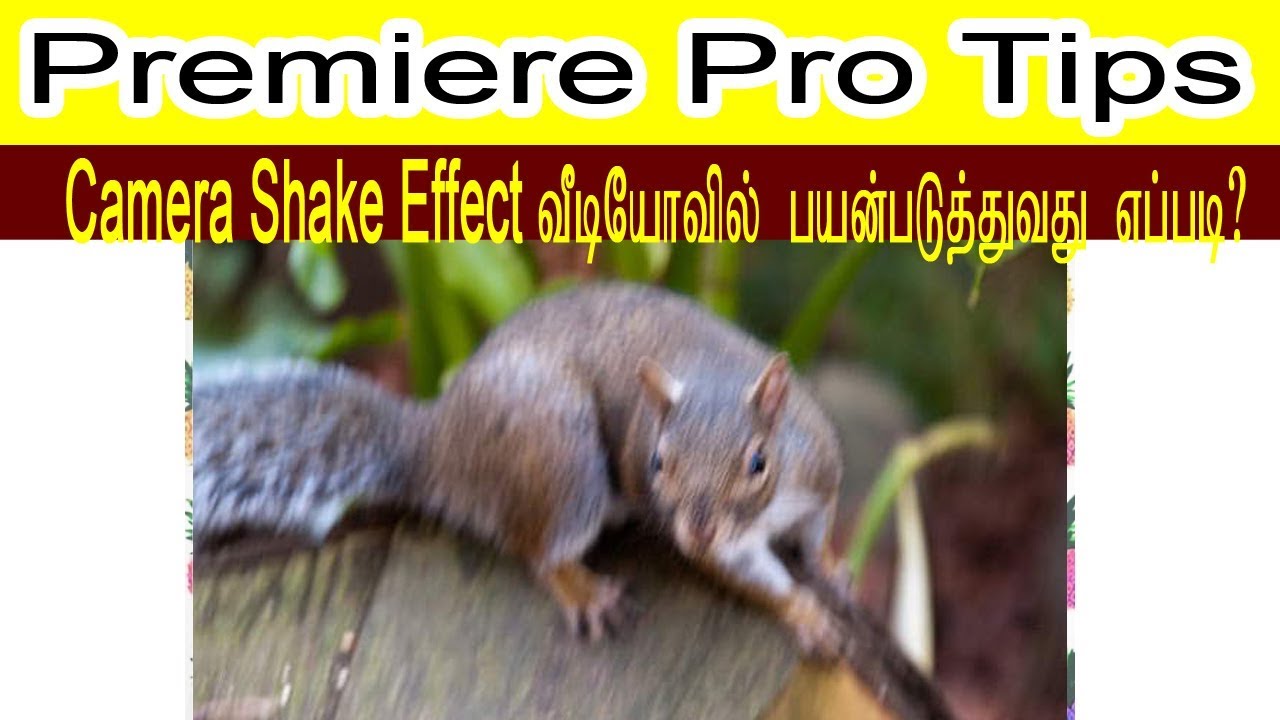 How to make camera shaking photos effect in your photo in Premiere Pro ...
