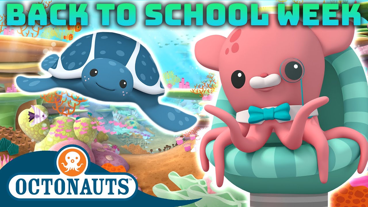 @Octonauts - How Many of these Sea Creatures Can You Name? 🐙 | Back to ...