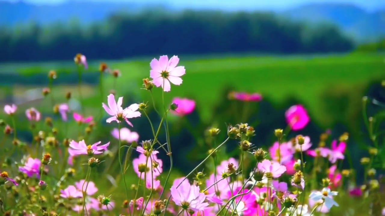 Beauty Of Bhatinda Fall......Beauty Of Dhanbad Bhatinda water Fall ...