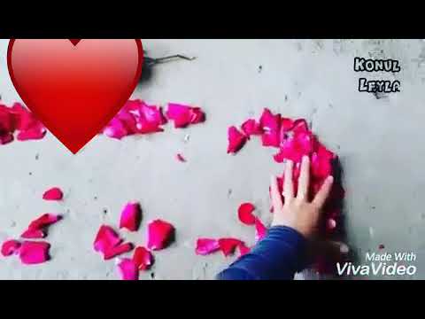 Ata ana övladlarinin  qoruyucu  meleyidir