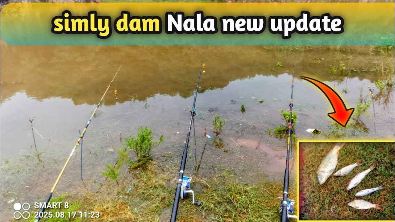 Simly dam new update | simly dam Nala wali side ki update | 17 agust ...