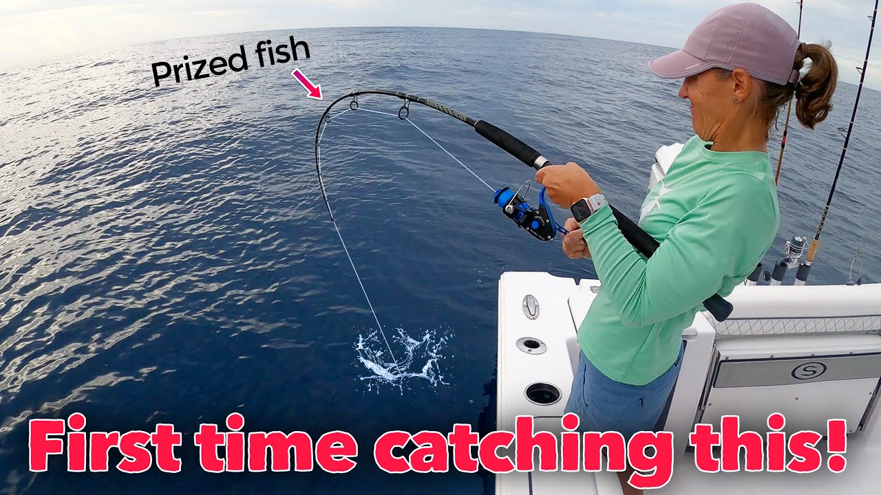 NEW SPOT... producing a lot of prized fish! - YouTube