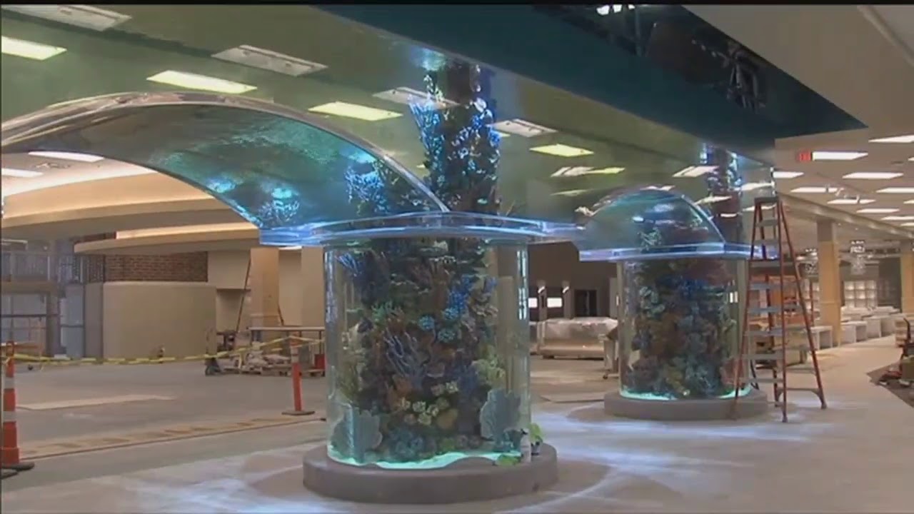 New Scheels Store Almost Open - YouTube