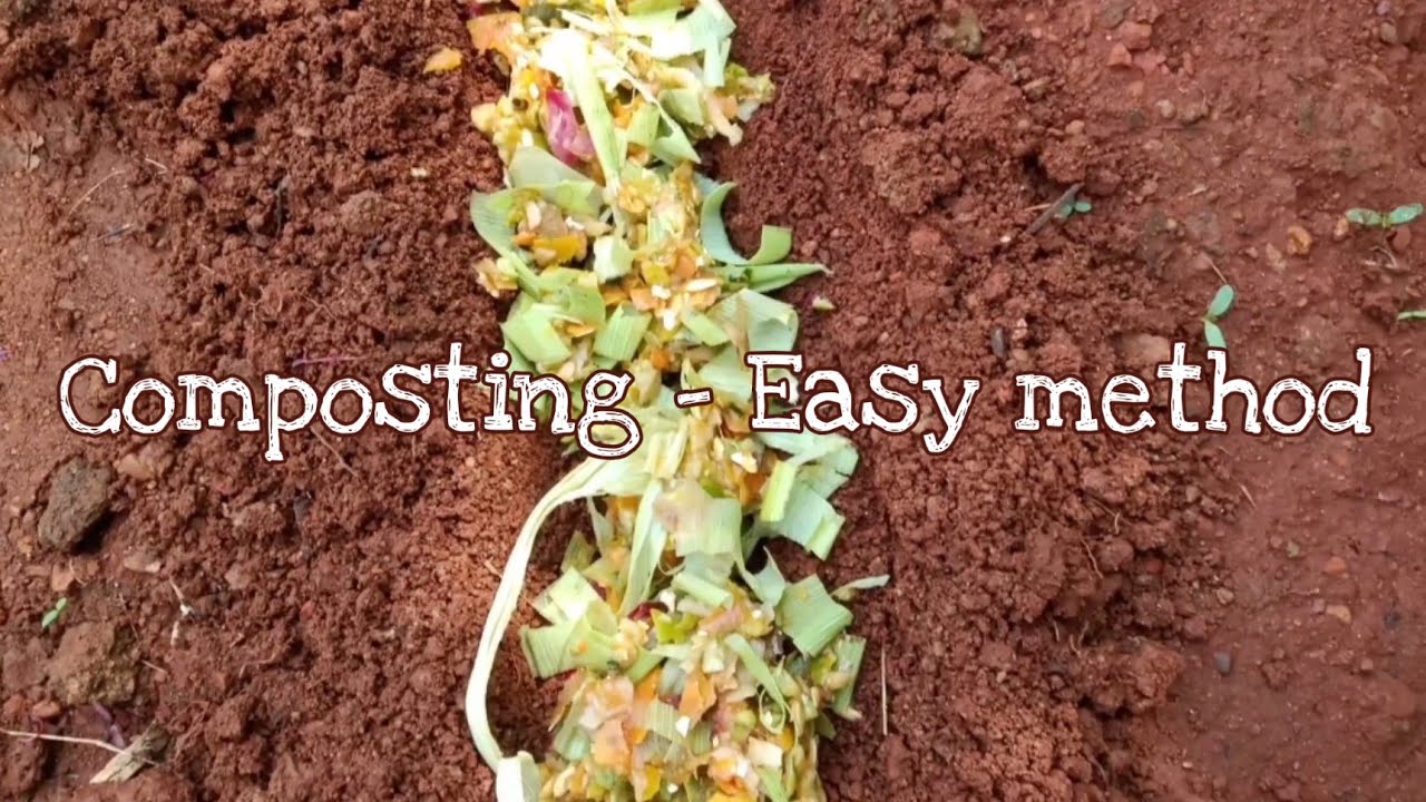 How to Trench Compost: Simple & Effective Way to Recycle Kitchen Waste ...