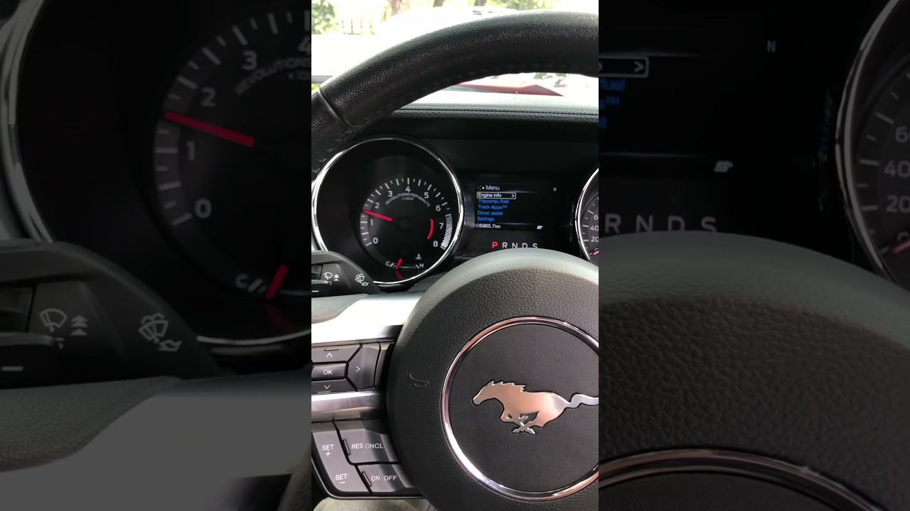 Ford Mustang Revving POV - YouTube