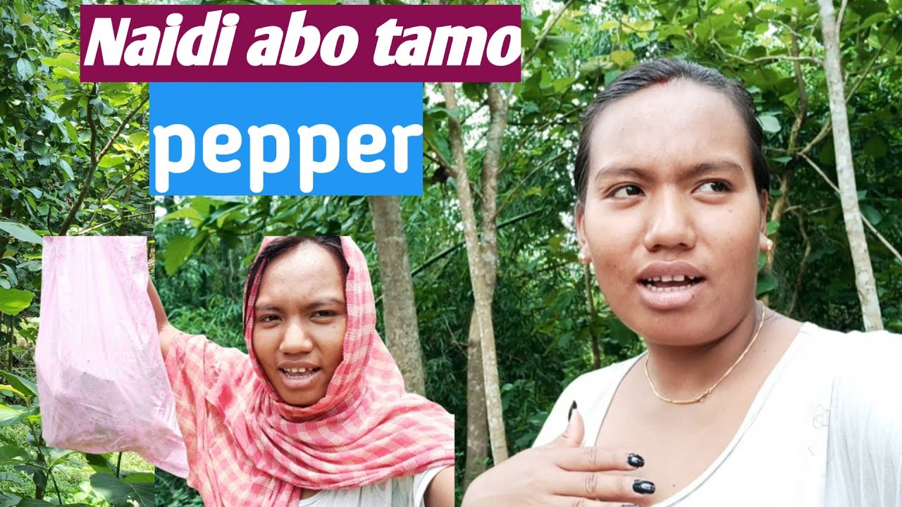 My First Blogs Bamboo Shoot || jina d vlogs - YouTube