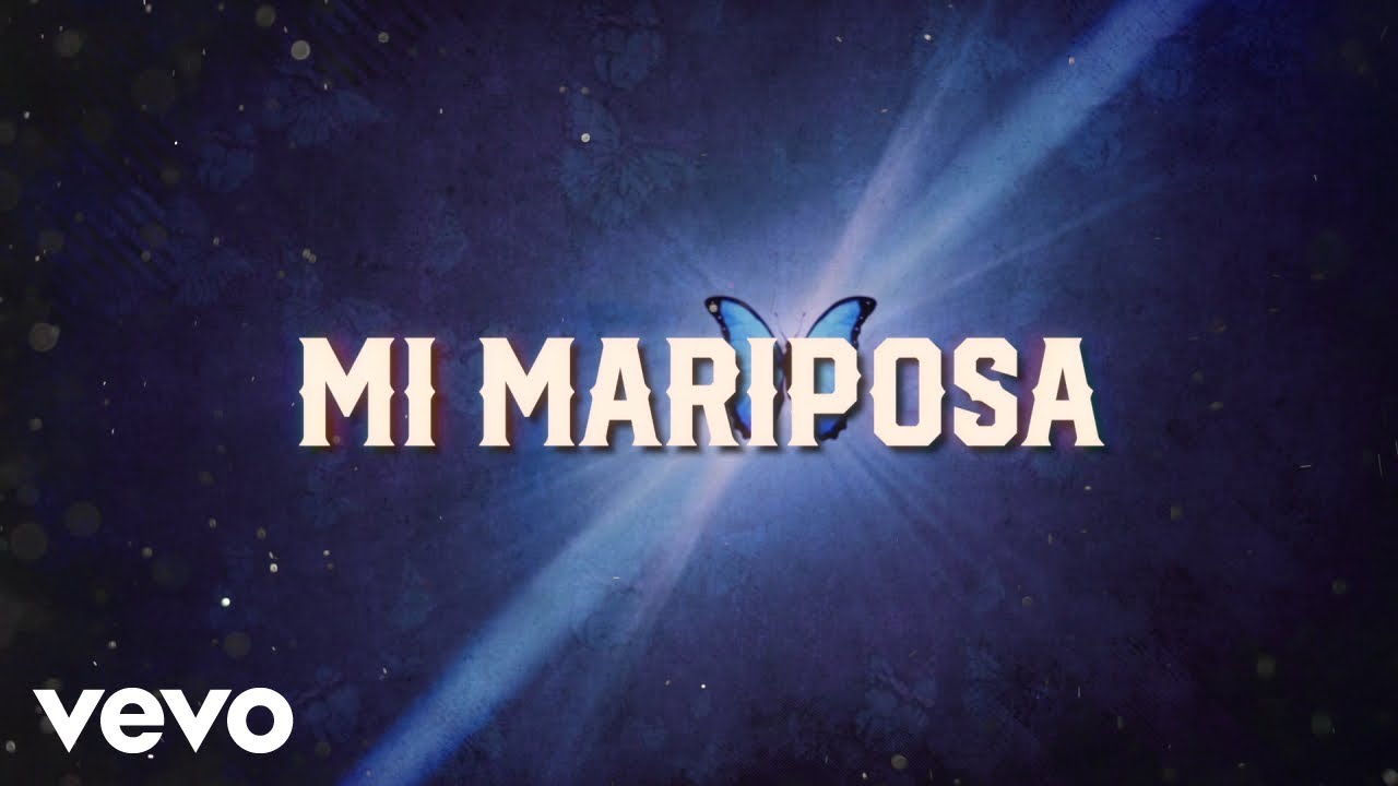 Reflejo Nuevo - Mi Mariposa (LETRA) Acordes - Chordify