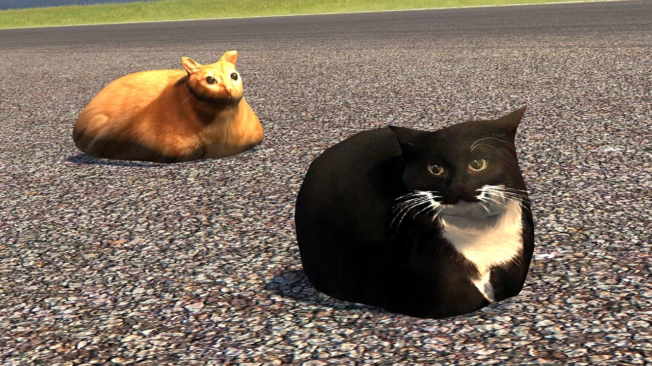 Maxwell Cat and Chonk Assetto Corsa +DOWNLOAD // Assetto Corsa cursed ...