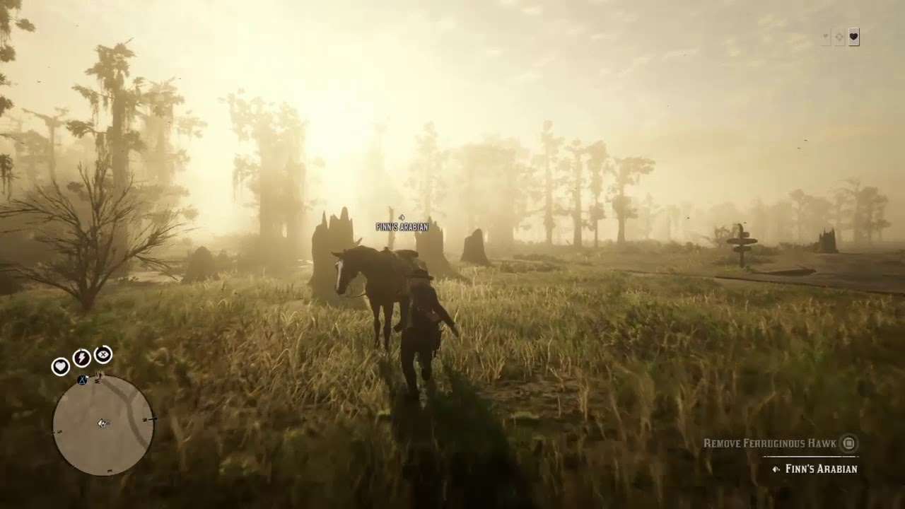 RDR2 Online - 9 x Yarrow in same place - YouTube