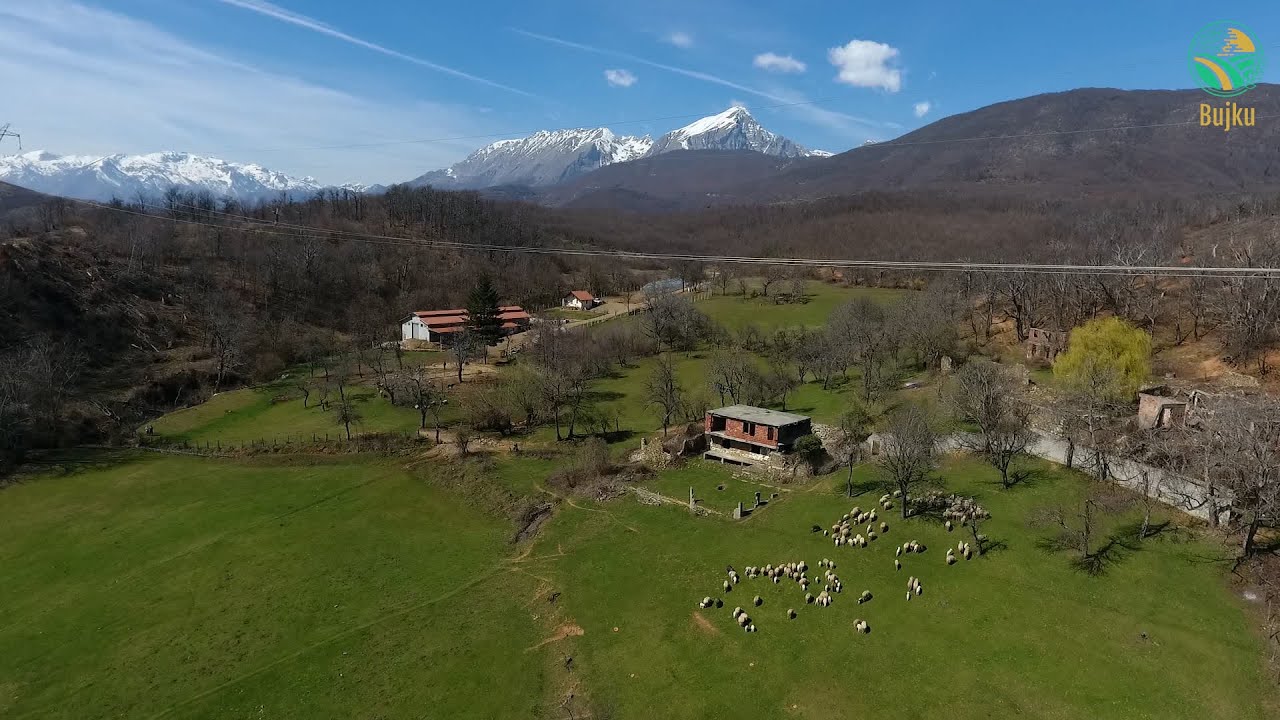 Bujku-Ferma Bio ne Morine te Gjakoves - YouTube