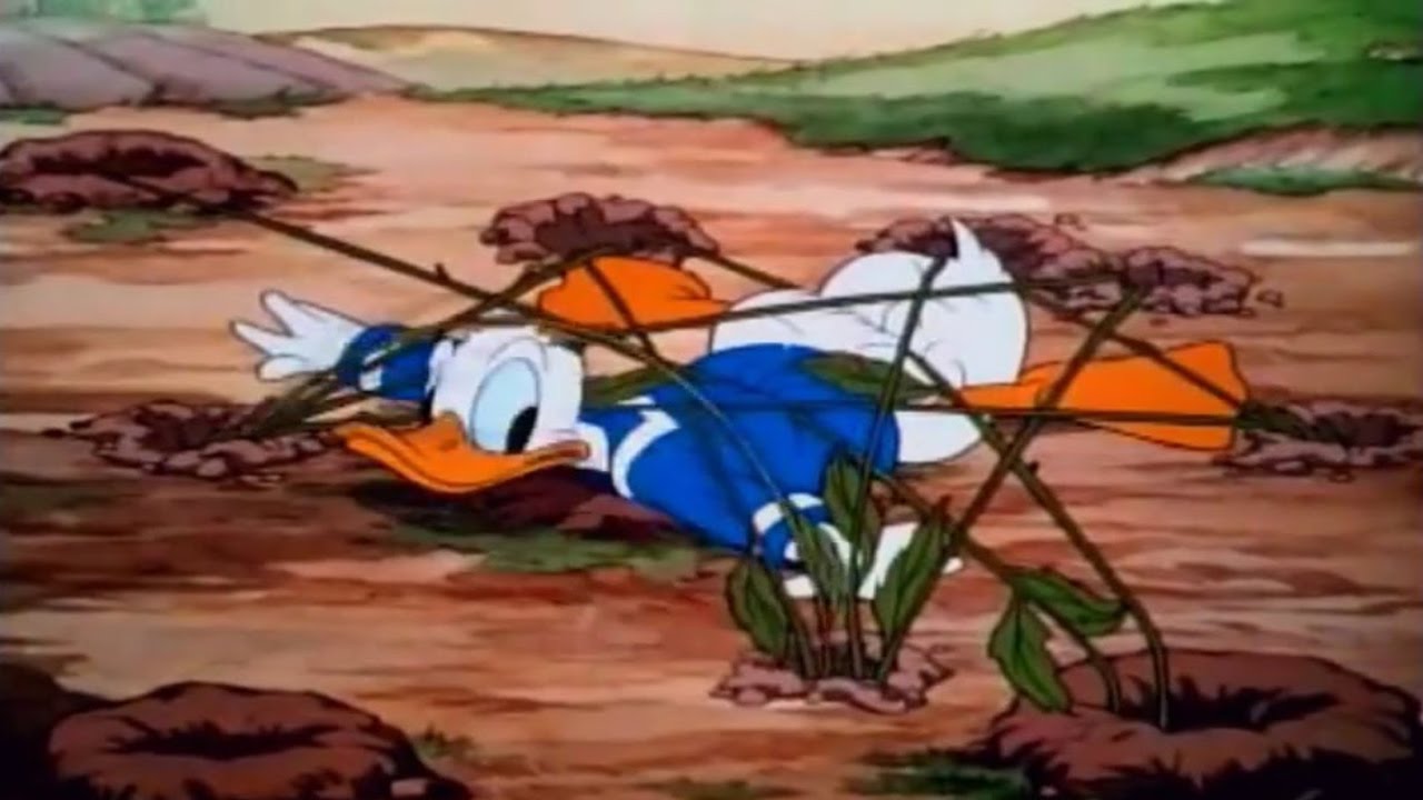 Donald Duck Cartoons - The Flying Squirrel, Donald's Garden - YouTube