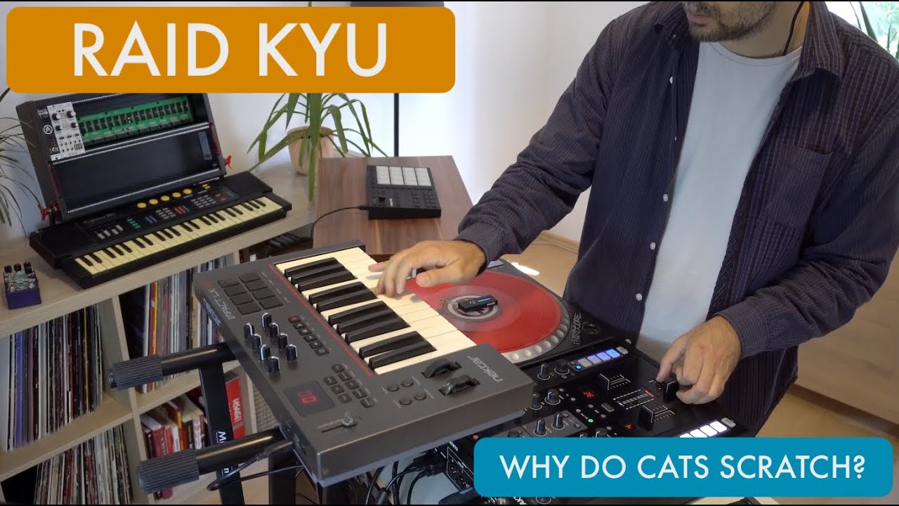 Raid Kyu - Why do cats scratch? - YouTube