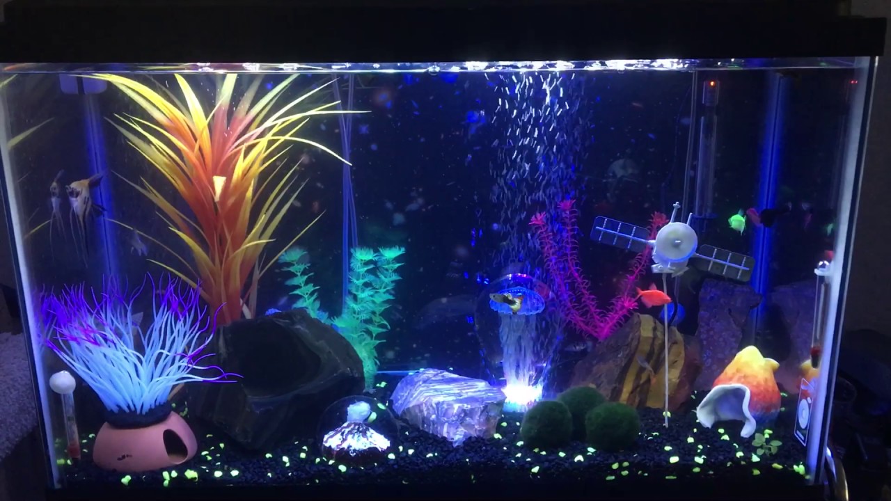 Space Themed 29 Gallon Freshwater Aquarium - YouTube