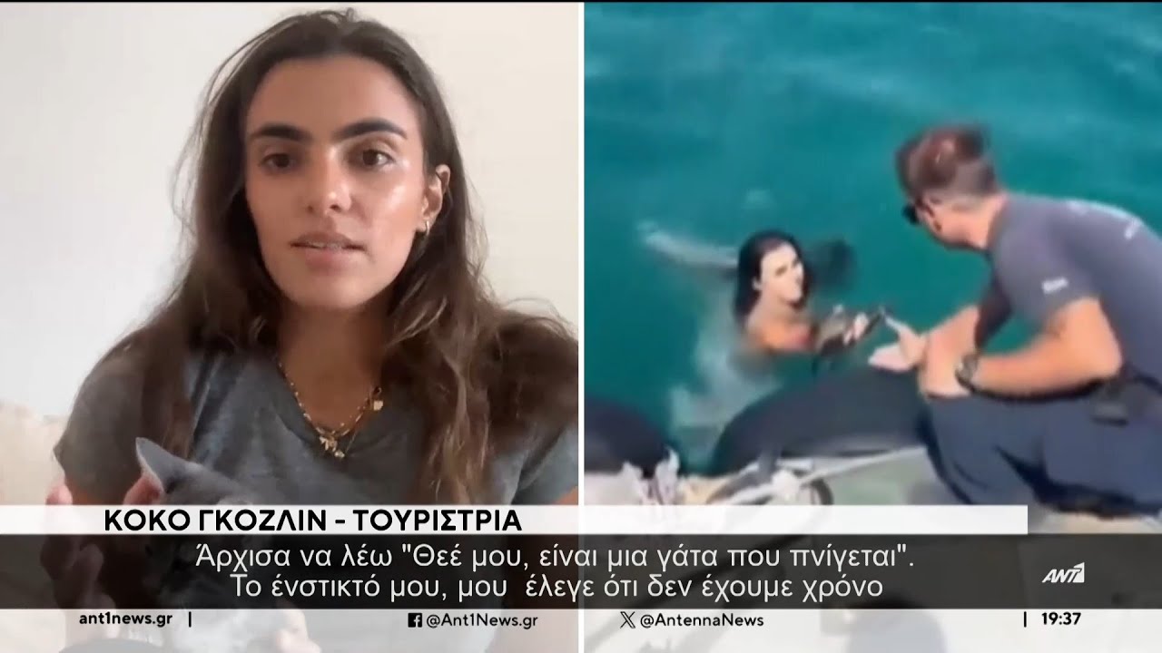 Κοκο Γκοζλάν: Τι λέει στον ΑΝΤ1 η τουριστρια που έσωσε γάτα στις ...