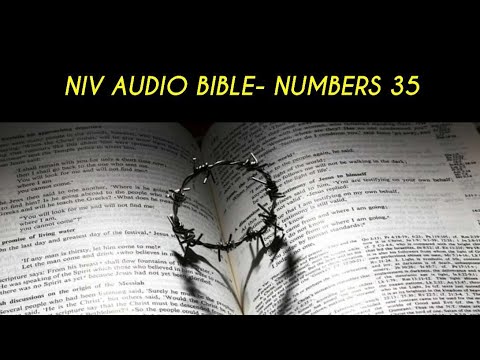NUMBERS 35 NIV AUDIO BIBLE (with text) - YouTube