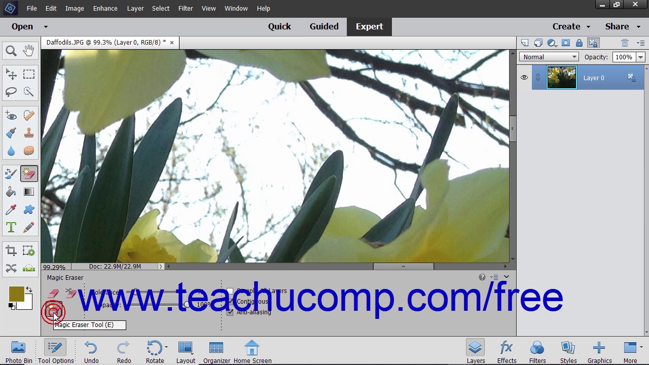 Photoshop Elements 2019 Tutorial The Magic Eraser Tool Adobe Training ...