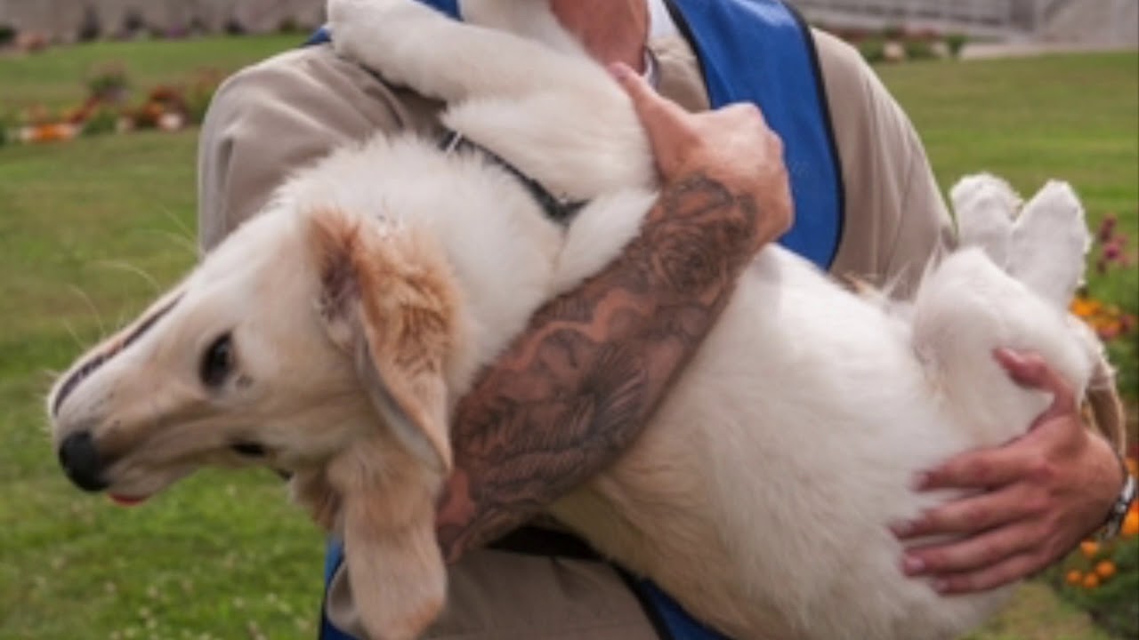 Digital Story Tonya Conley - YouTube