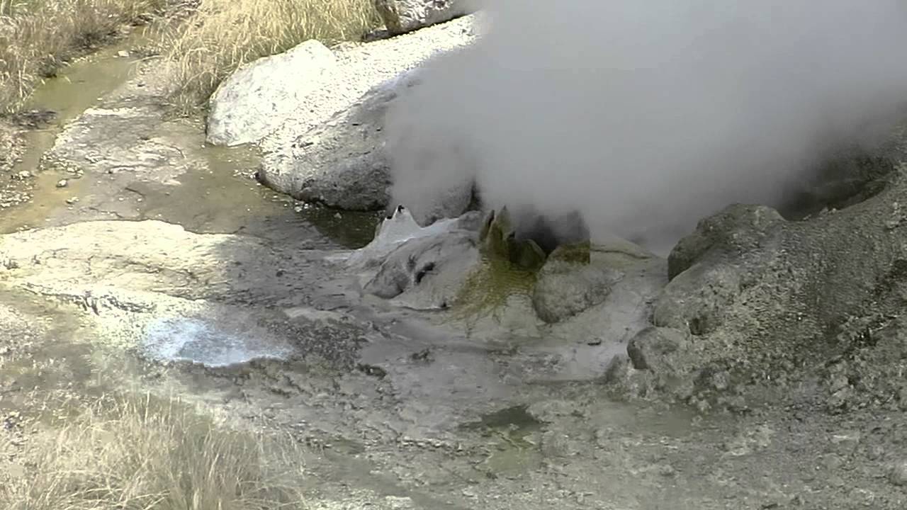 Yellowstone park. Norris Geyser Basin. Ledge Geyser - YouTube