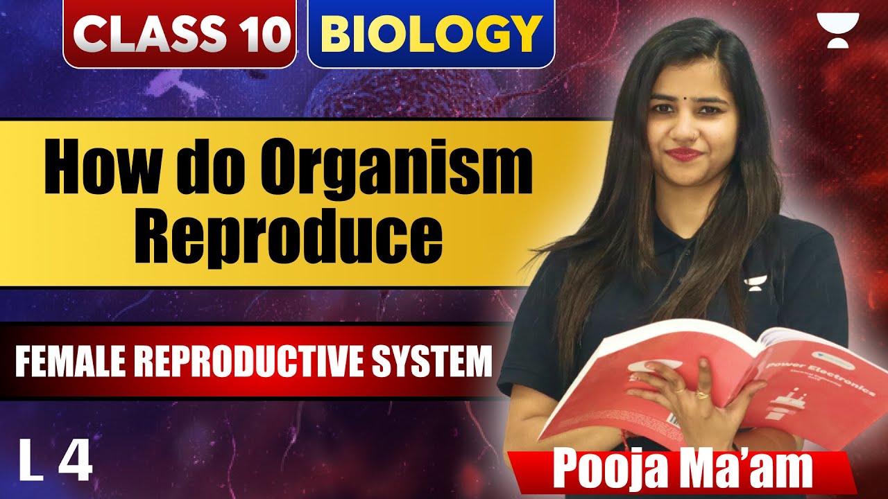 How do Organism reproduce | L4 | Female Reproductive System | Class 10 ...