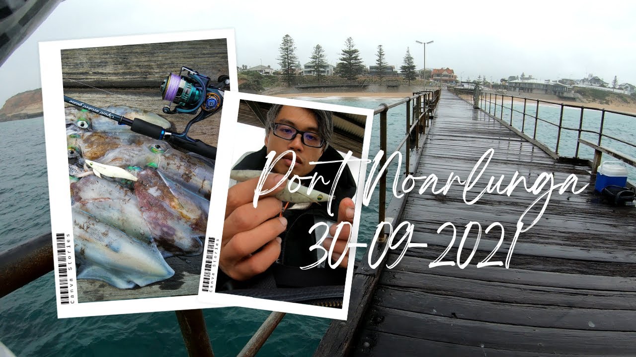 Squid Fishing Adelaide | Port Noarlunga | South Australia - [30-09-2021 ...