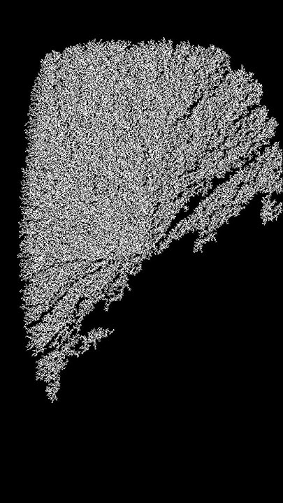 Diffusion-Limited Aggregation in Processing - YouTube