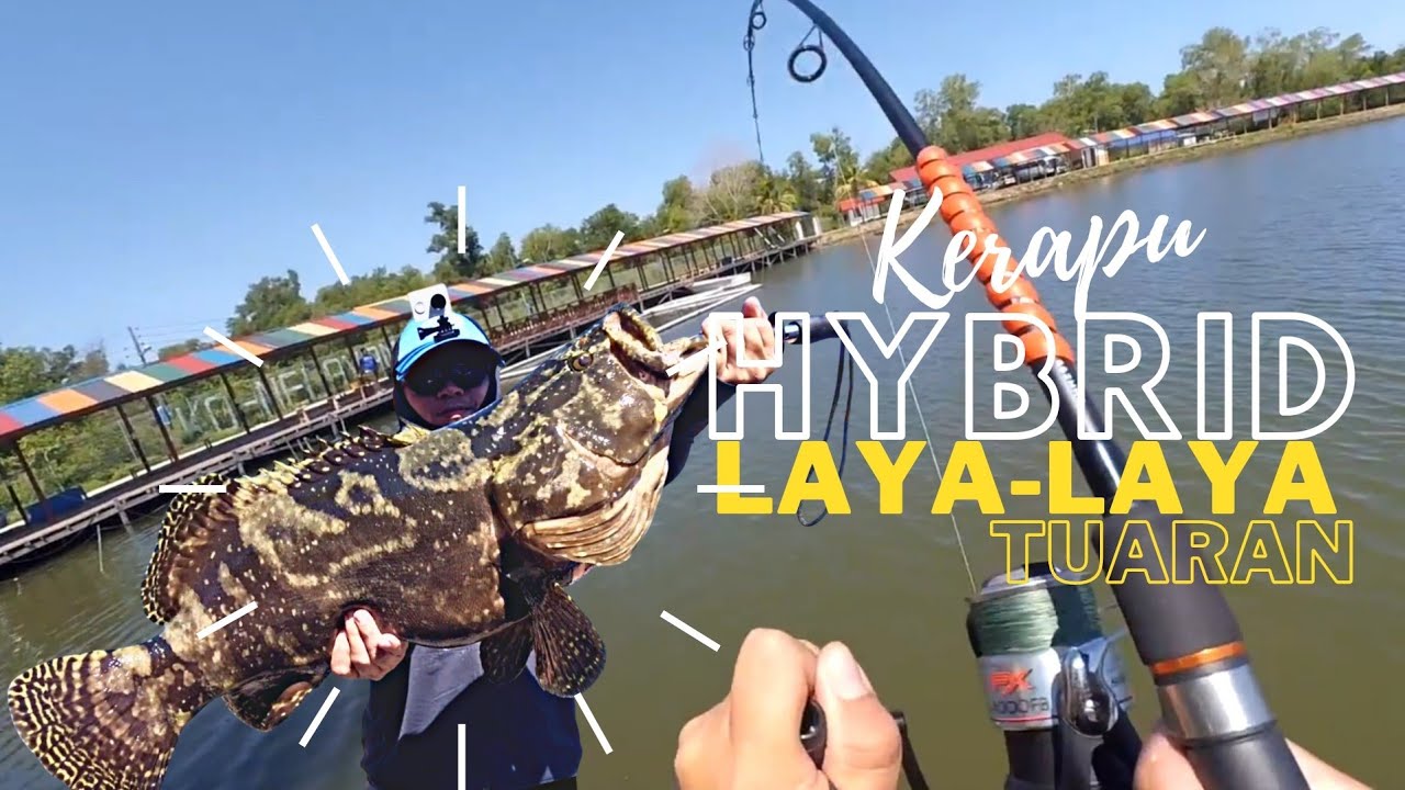 Fishing at Laya-Laya Tuaran - YouTube