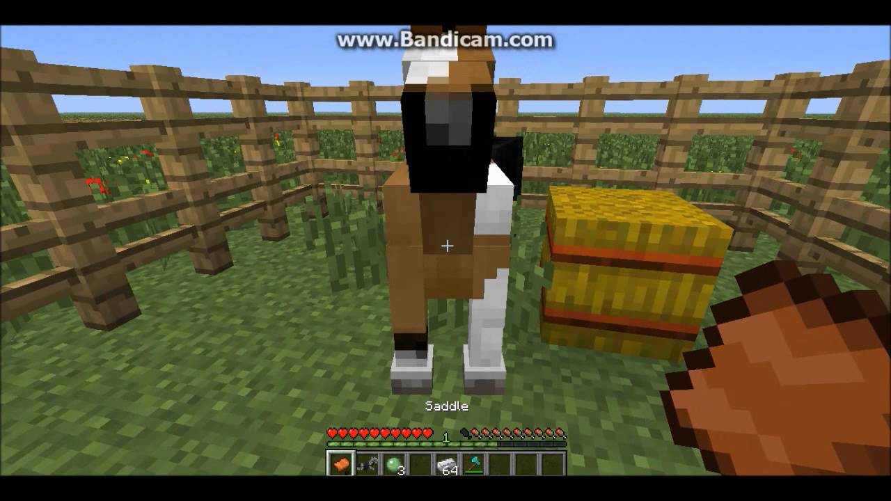 MINECRAFT: Hillbilly farm:episode 1 - YouTube