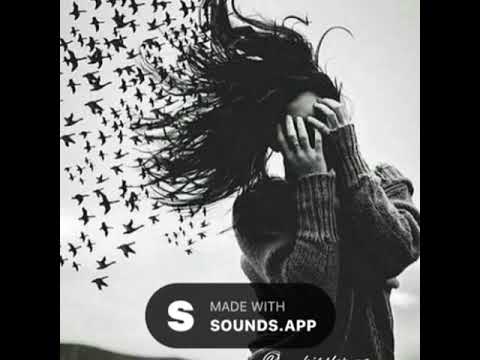 SOUNDS APP 😌😌😌😌