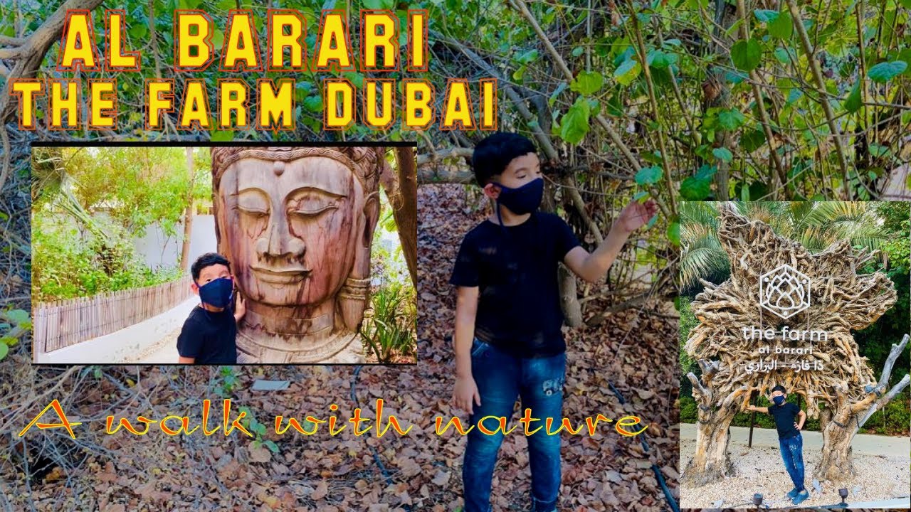Al Barari -The Farm Dubai | The Farm Restaurant | A nature reserve ...